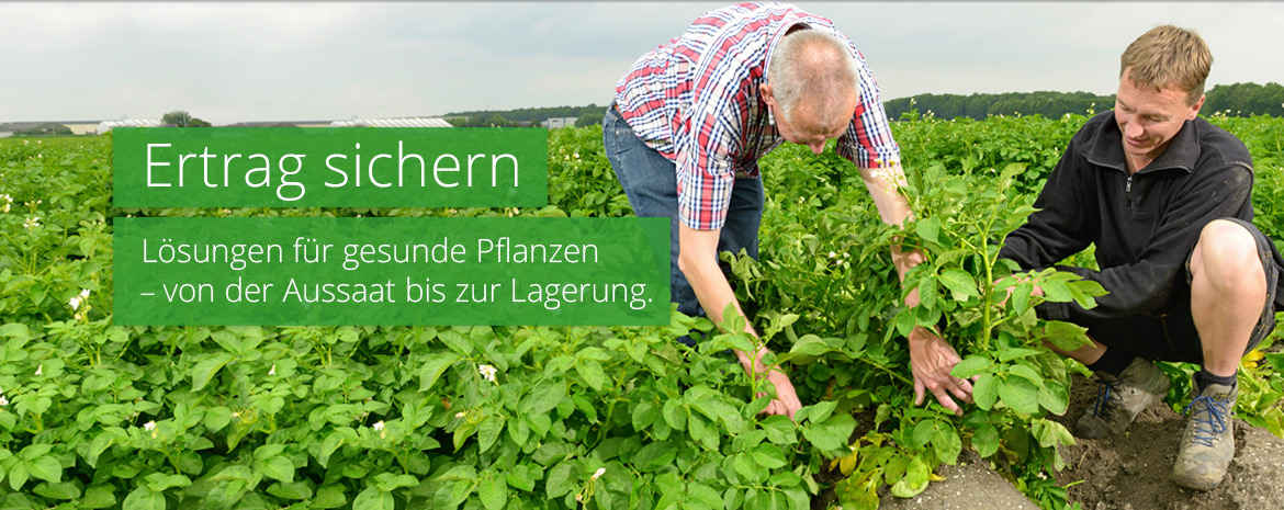 Bayer Agrar Deutschland - Getreide