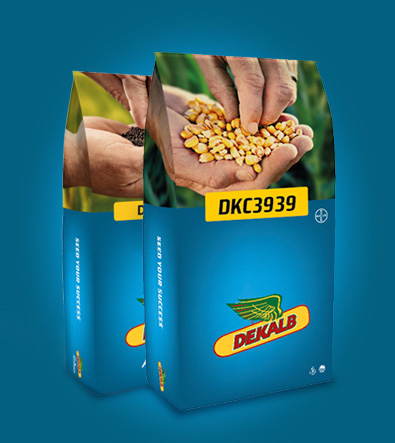 Produktberater - Schritt für Schritt zum optimalen Produkt | Bayer ...