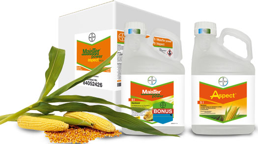 Bayer Agrar Deutschland - Mais